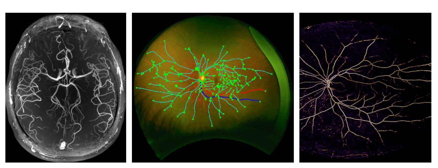 Annual Scientific Meeting – SINAPSE