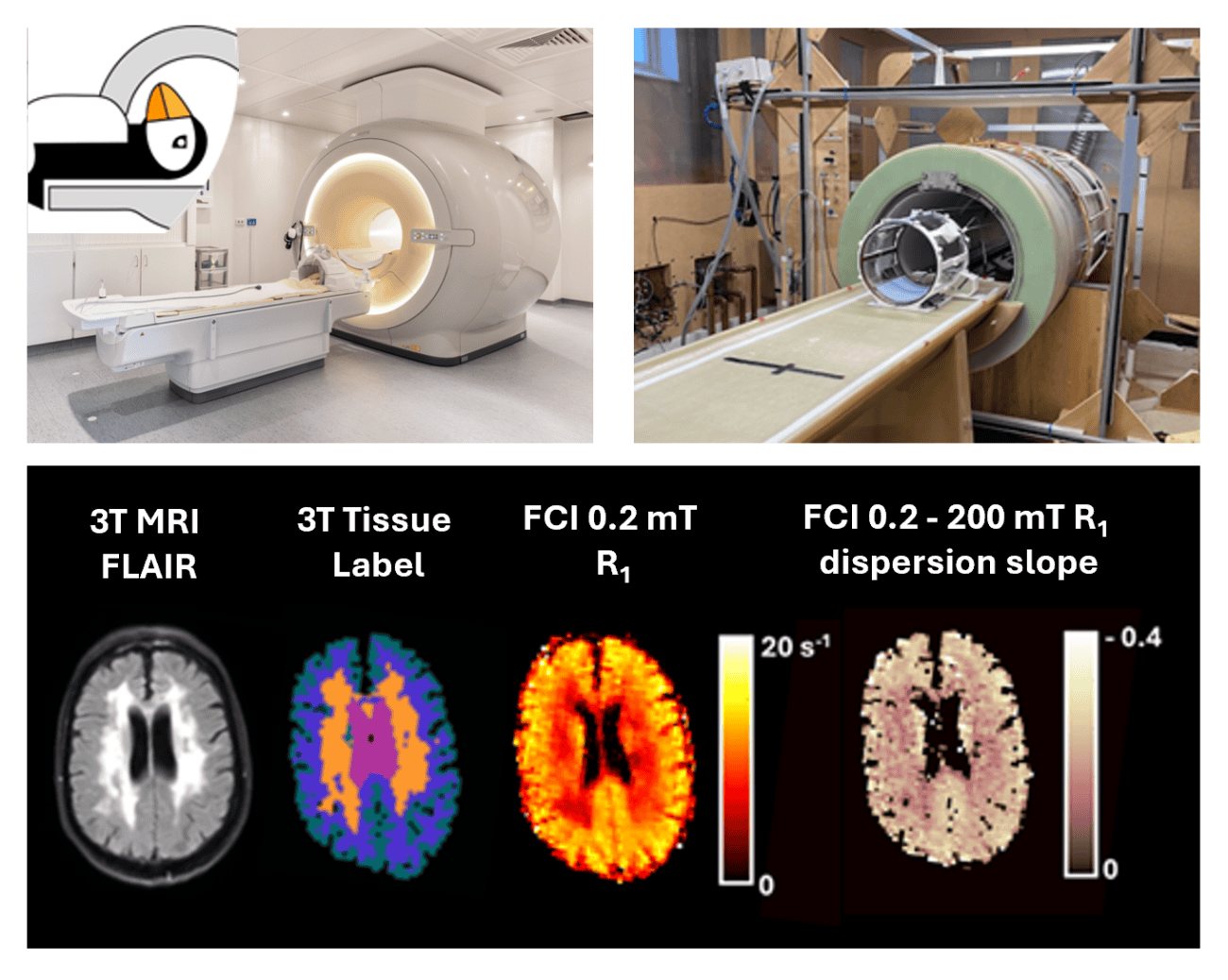SINAPSE Image of the Month: February 2025 – SINAPSE