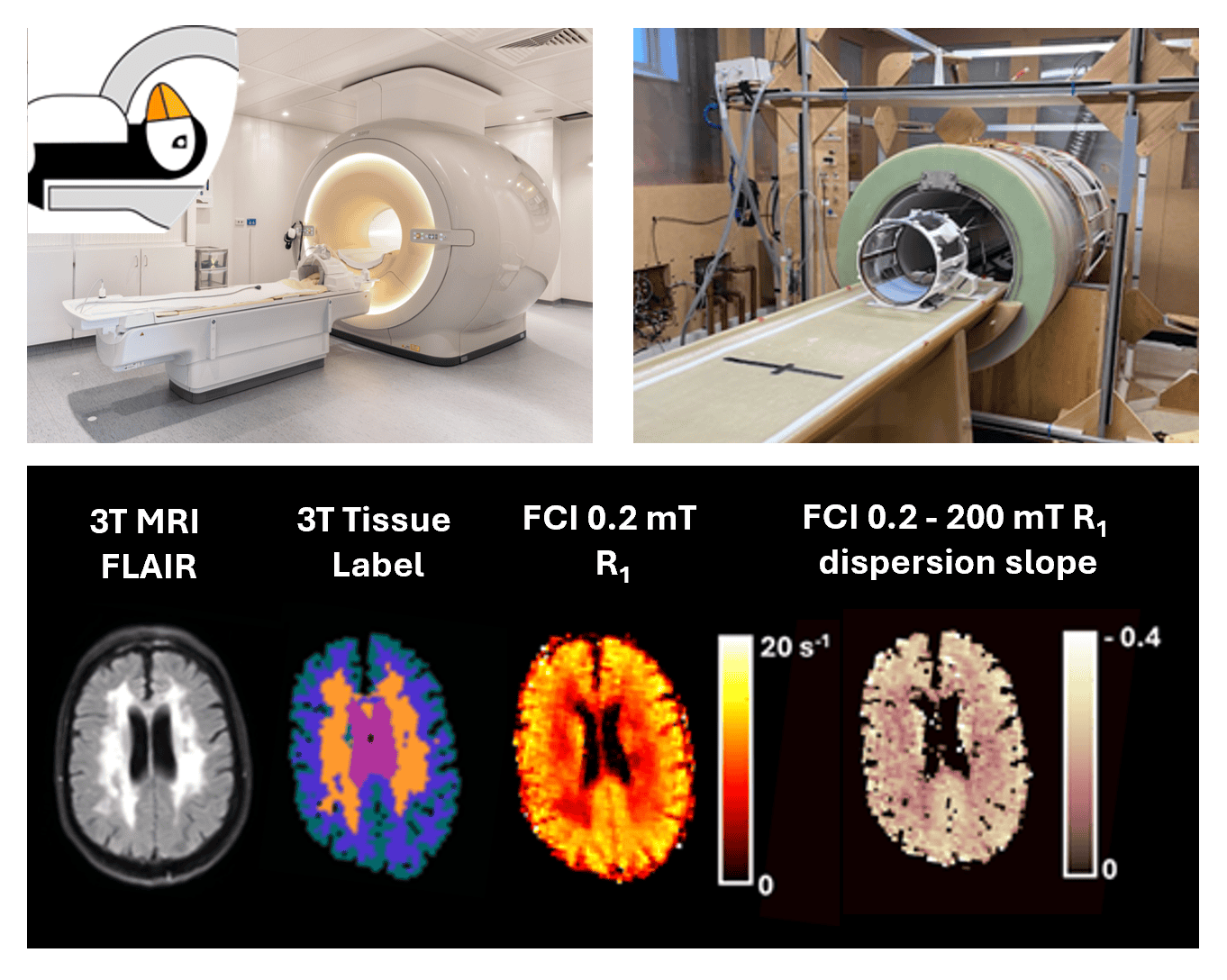 SINAPSE Image of the Month: February 2025 – SINAPSE